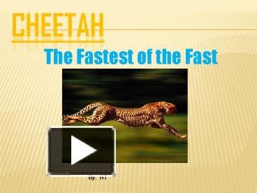 PPT – Cheetah PowerPoint presentation | free to download - id: 3f23ea-OGNlM