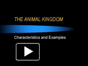 PPT – THE ANIMAL KINGDOM PowerPoint presentation | free to view - id ...