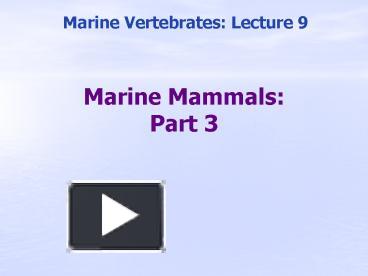 PPT – Marine Mammals: Part 3 PowerPoint presentation | free to view ...