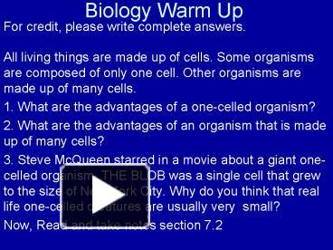 Biology Warm Up presentation | free to view