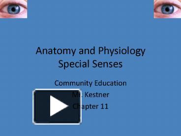 Anatomy and Physiology Special Senses presentation | free to view