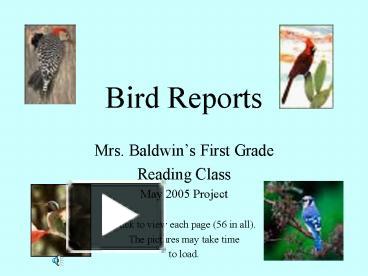 PPT – Bird Reports PowerPoint presentation | free to view - id: 3f4bf-MWEwN