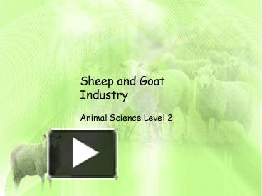 Sheep and Goat Industry presentation | free to download