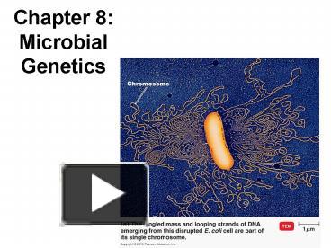 Chapter 8: Microbial Genetics presentation | free to view