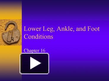 PPT – Lower Leg, Ankle, and Foot Conditions PowerPoint presentation ...