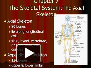 PPT – Chapter 7 The Skeletal System:The Axial Skeleton PowerPoint presentation | free to view ...