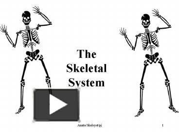 The Skeletal System presentation | free to view