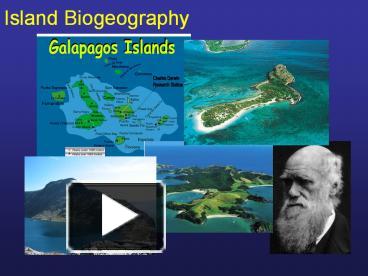Island Biogeography presentation | free to download