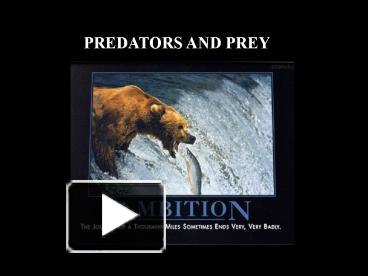 PPT – PREDATORS AND PREY PowerPoint presentation | free to view - id ...