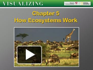 Chapter 5 How Ecosystems Work presentation | free to download