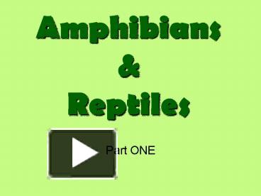 PPT – Amphibians PowerPoint presentation | free to view - id: 40d5e-MDI2M