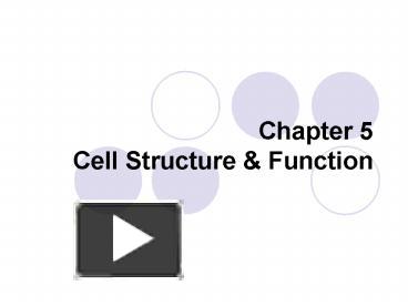 Chapter 5 Cell Structure presentation | free to view