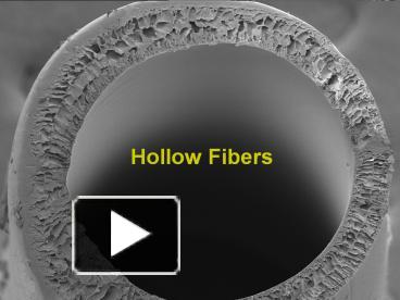 Hollow Fibers presentation | free to download