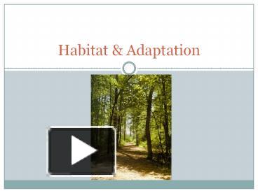 Habitat presentation | free to download