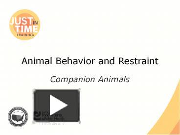 PPT – Animal Behavior and Restraint PowerPoint presentation | free to ...
