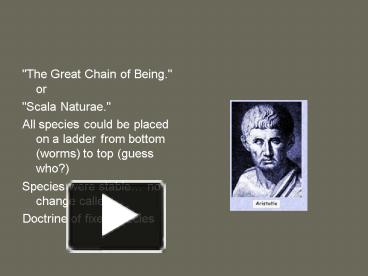 PPT – "The Great Chain of Being." or PowerPoint presentation | free to ...