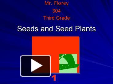 PPT – Seeds and Seed Plants PowerPoint presentation | free to view - id ...