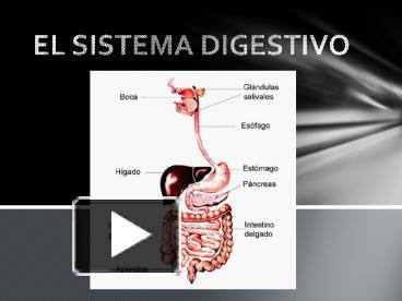 EL SISTEMA DIGESTIVO presentation | free to download