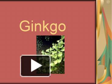 Ginkgo presentation | free to download