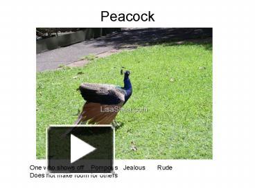 PPT – Peacock PowerPoint presentation | free to download - id: 41a818-M2Y1M