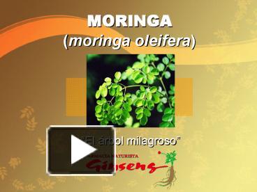 MORINGA (moringa oleifera) presentation | free to view