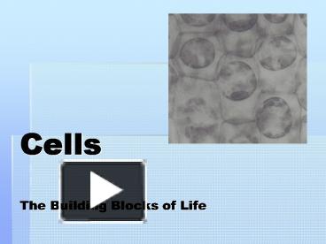 Cells The Building Blocks of Life presentation | free to view