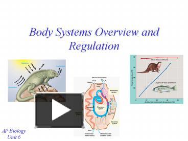 Body Systems Overview and Regulation presentation | free to view