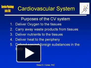 PPT – Cardiovascular System PowerPoint presentation | free to view - id ...