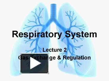 PPT – Respiratory System PowerPoint presentation | free to view - id ...