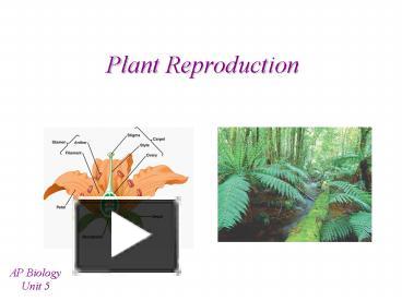 PPT – Plant Reproduction PowerPoint presentation | free to view - id ...