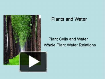 Plants and Water presentation | free to download