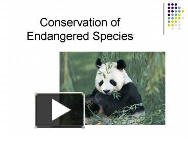 Conservation of Endangered Species presentation | free to view