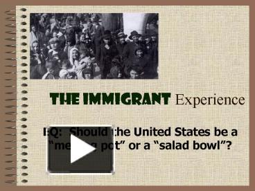 The Immigrant Experience presentation | free to view