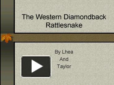 PPT – The Western Diamondback Rattlesnake PowerPoint presentation ...