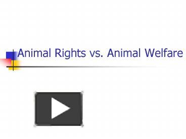 Animal Rights vs. Animal Welfare presentation | free to view