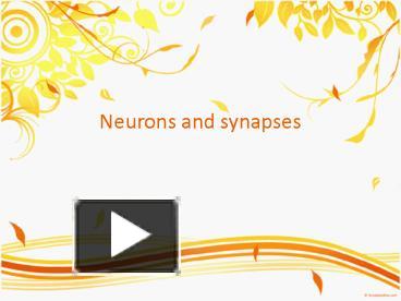 PPT – Neurons and synapses PowerPoint presentation | free to download - id: 42a4ee-MDg5M