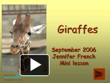 Giraffes presentation | free to view