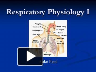 Respiratory Physiology I presentation | free to view