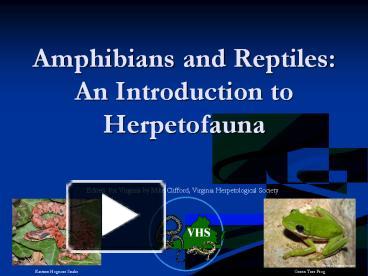 PPT – Amphibians and Reptiles: An Introduction to Herpetofauna ...