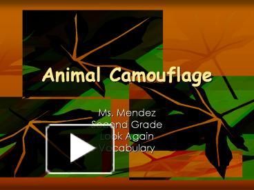 Animal Camouflage presentation | free to download