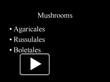 Mushrooms presentation | free to view