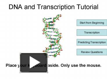 DNA and Transcription Tutorial presentation | free to view