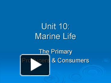 PPT – Unit 10: Marine Life PowerPoint presentation | free to download ...