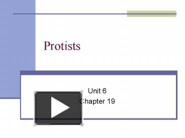 PPT – Protists PowerPoint presentation | free to view - id: 438490-ZDYyM