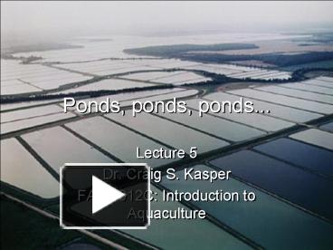 PPT – Ponds, ponds, ponds... PowerPoint presentation | free to view ...