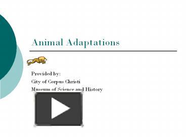 Animal Adaptations presentation | free to download