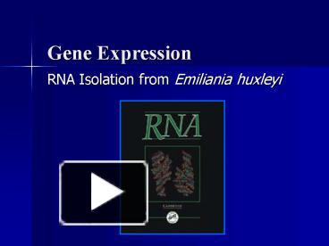 Gene Expression presentation | free to view