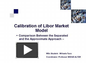 Calibration of Libor Market Model - Comparison Between the Separated and the Approximate ...