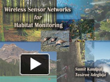 PPT – Wireless Sensor Networks for Habitat Monitoring PowerPoint presentation | free to download ...