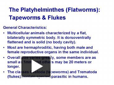 PPT – The Platyhelminthes (Flatworms): Tapeworms PowerPoint ...